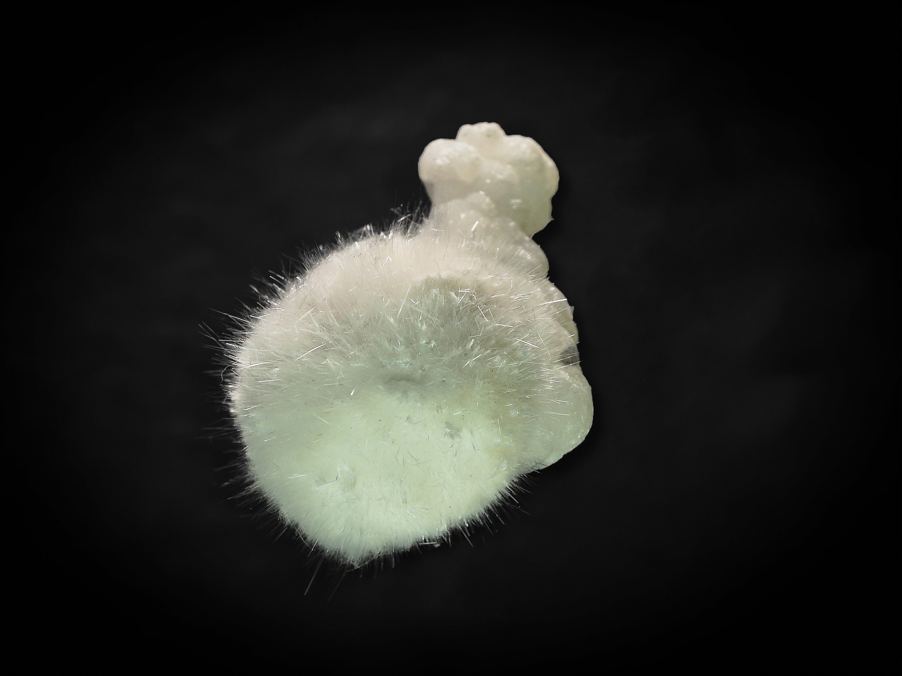 Okenite non Precious Natural Minerals Natural Specimen Mineral Okenite ...