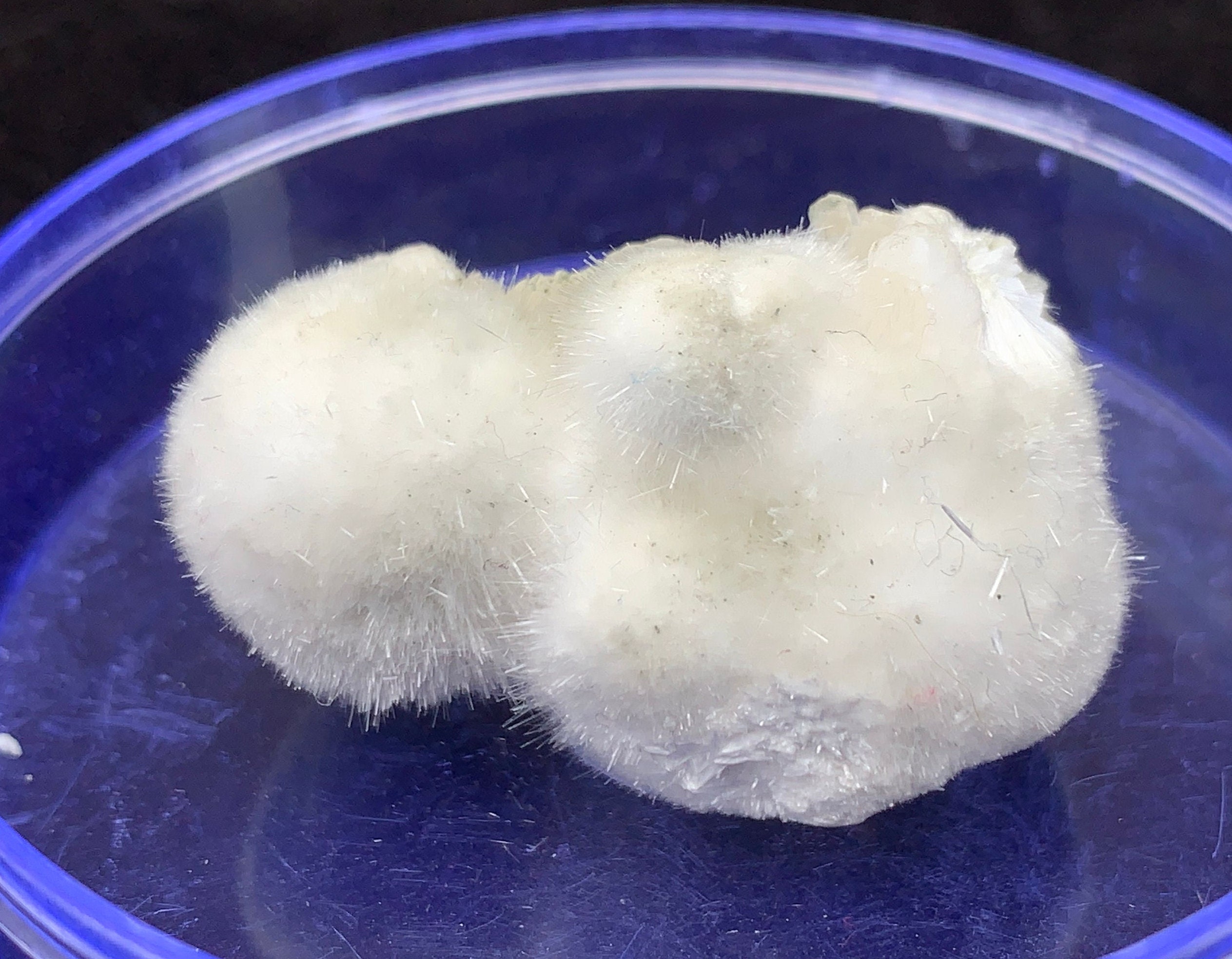 Okenite Specimen From India non Precious Natural Minerals Natural ...