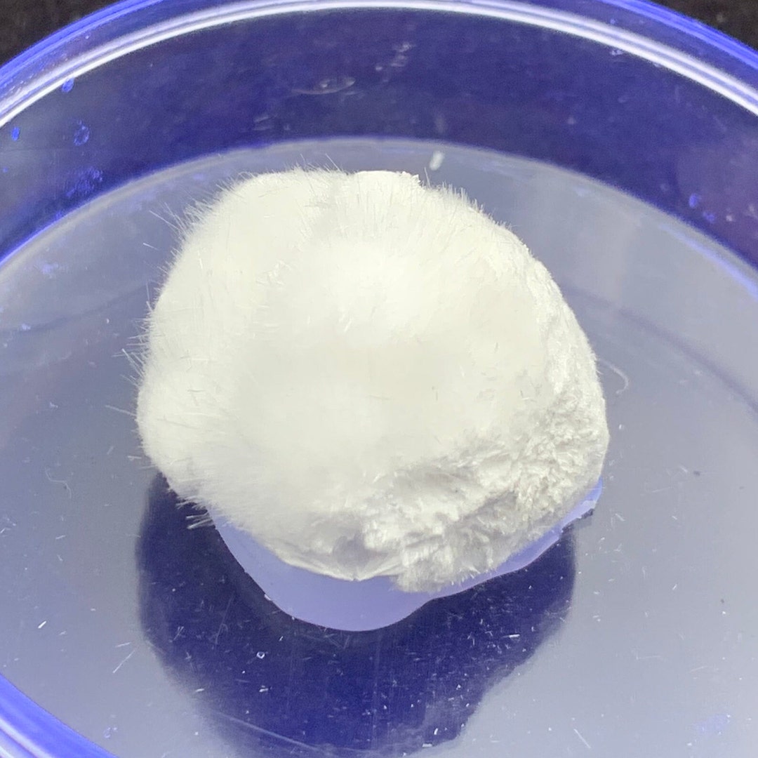 Okenite Natural Mineral Okenite Crystal Specimen From India non ...