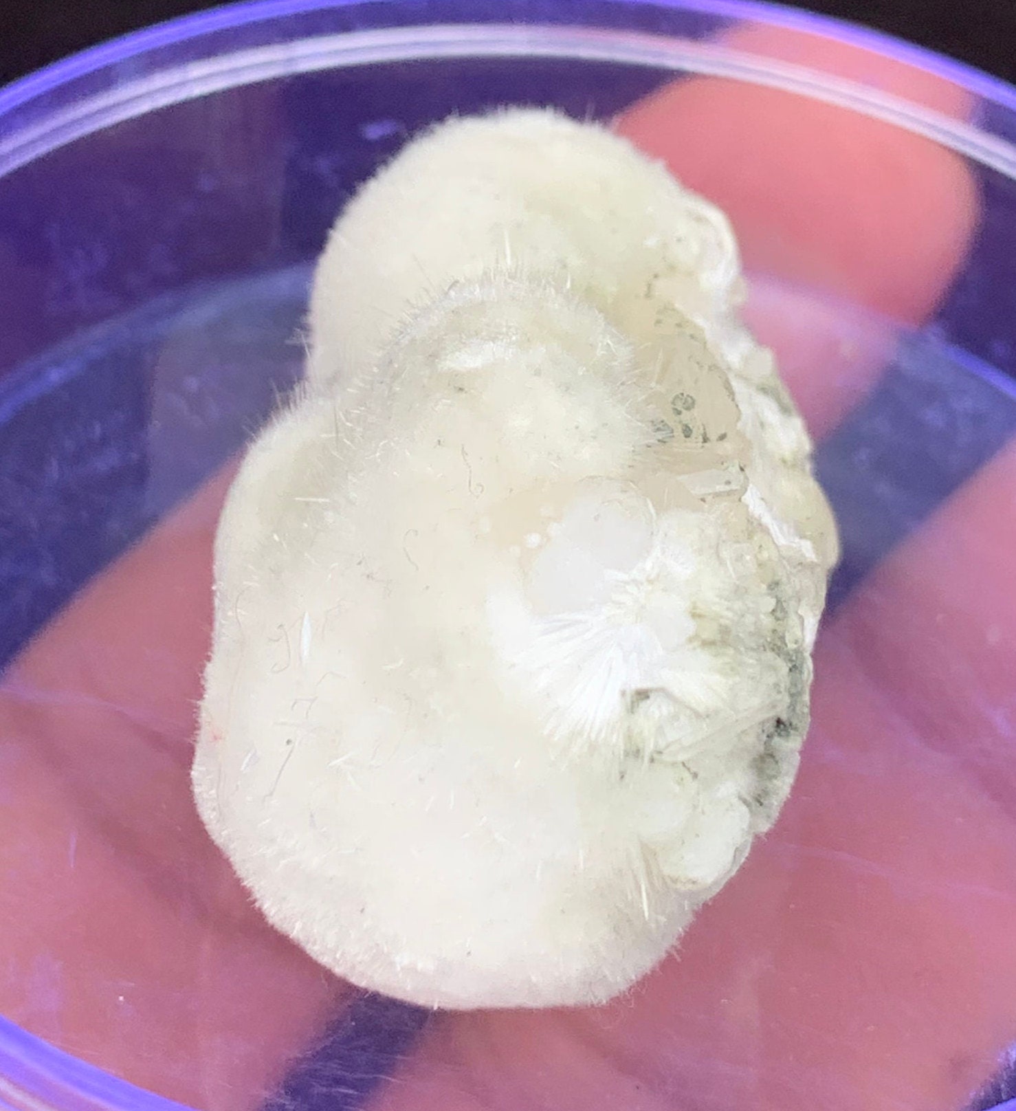 Okenite Specimen From India non Precious Natural Minerals Natural ...