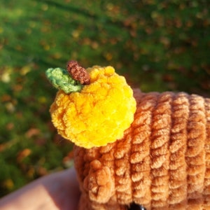 Crochet Capybara With Orange, Cute Animal Plushie, Capi Soft & Chubby ...