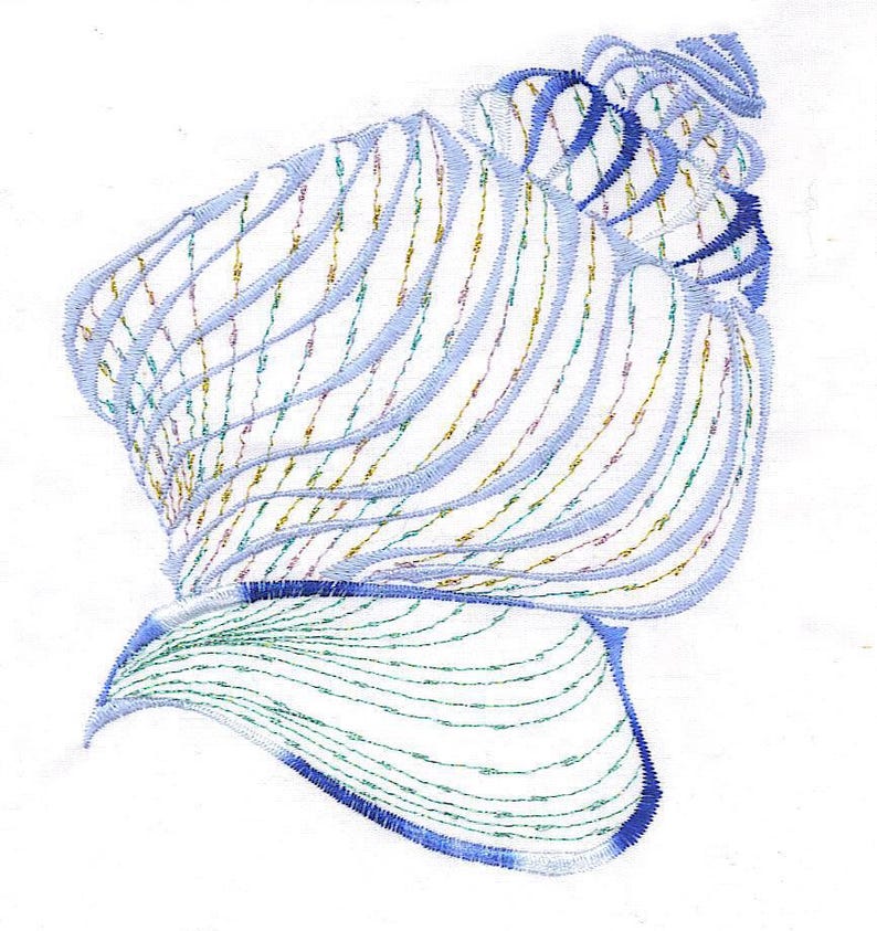 Seashell Machine Embroidery Design Collection, 14 Digital Embroidery ...