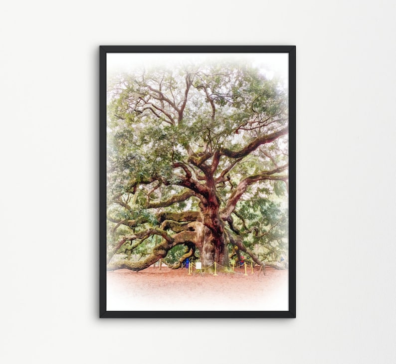 Angel Oak Tree Painting, Angel Oak Tree, Charleston Digital Art ...