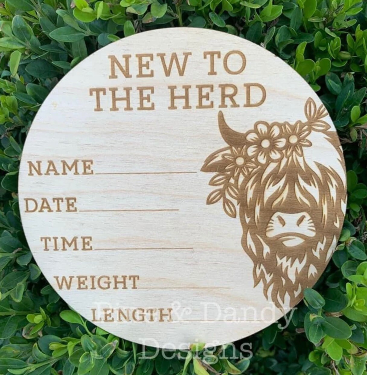Highland Cow Birth Sign - Etsy