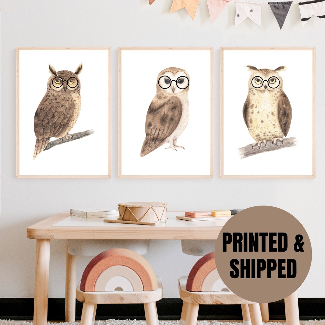 Boho Owls in Glasses Baby Nursery Wall Art Set of 3 Prints, Owl Nursery ...