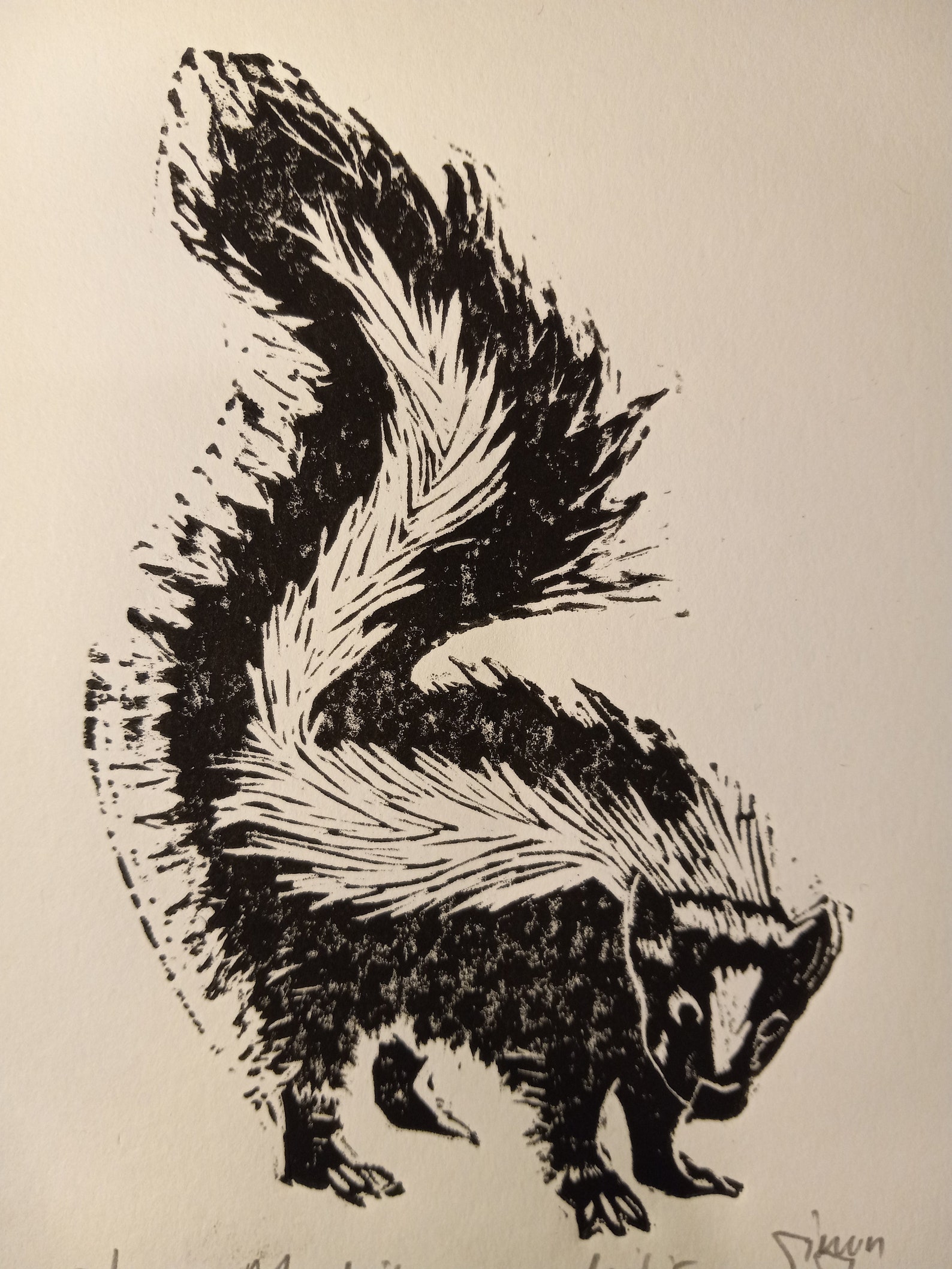 Handmade Skunk Art Print, Signed and Editioned 6" X 9" - Etsy