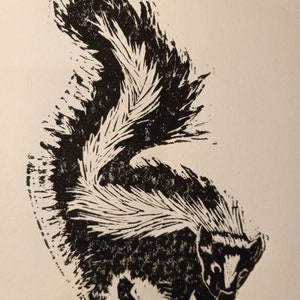 Handmade Skunk Art Print, Signed and Editioned 6" X 9" - Etsy