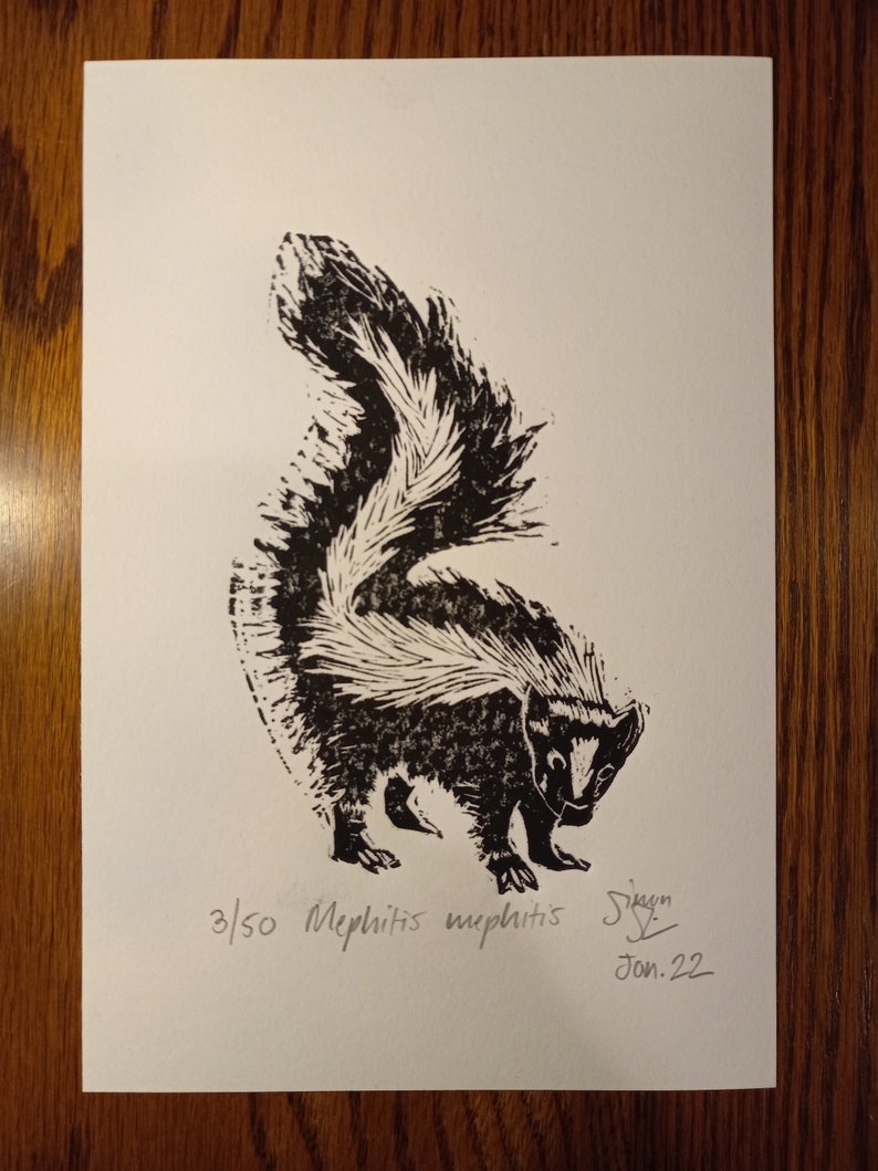 Handmade Skunk Art Print, Signed and Editioned 6" X 9" - Etsy
