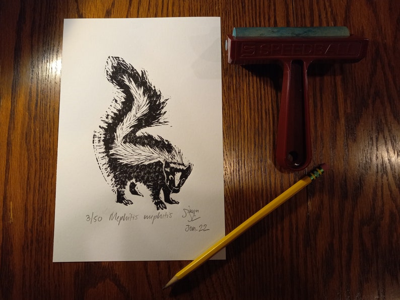 Handmade Skunk Art Print, Signed and Editioned 6" X 9" - Etsy