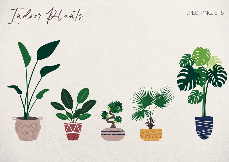 House Plant Clipart Potted Plants Garden Clipart Botanical - Etsy