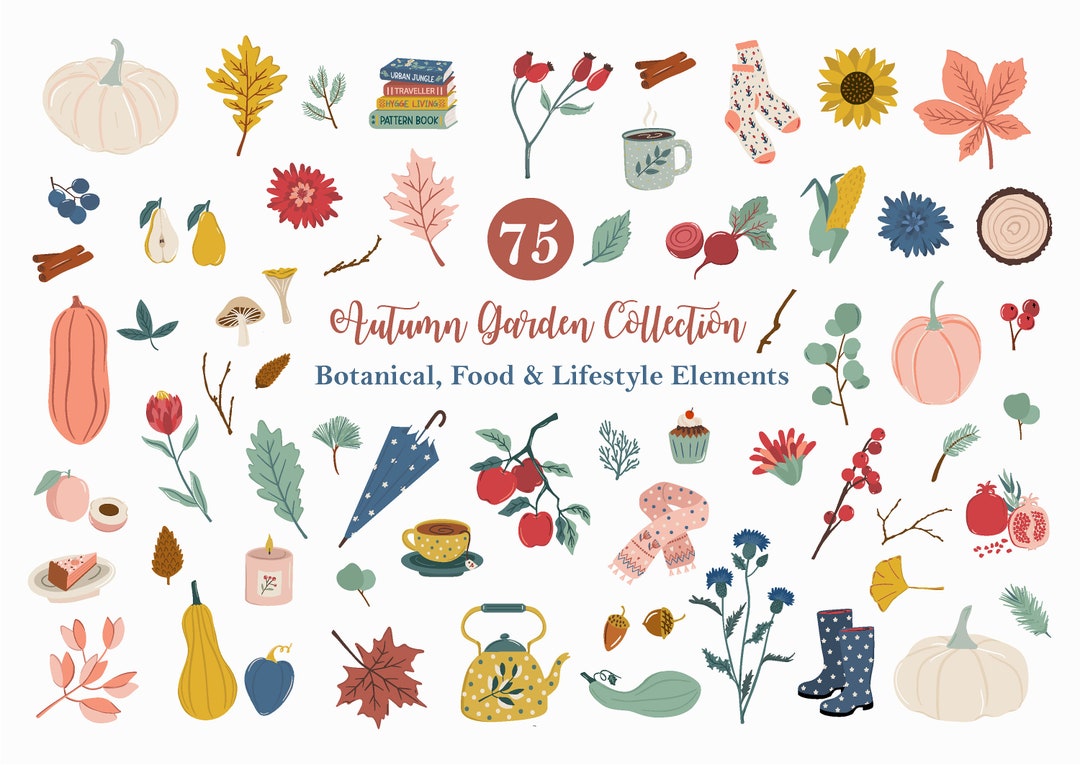 Cozy Fall Clipart Collection: Pumpkins, Leaves & Autumn Florals in PNG ...