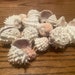 Sanibel Island Spiny Jewel Box - Etsy