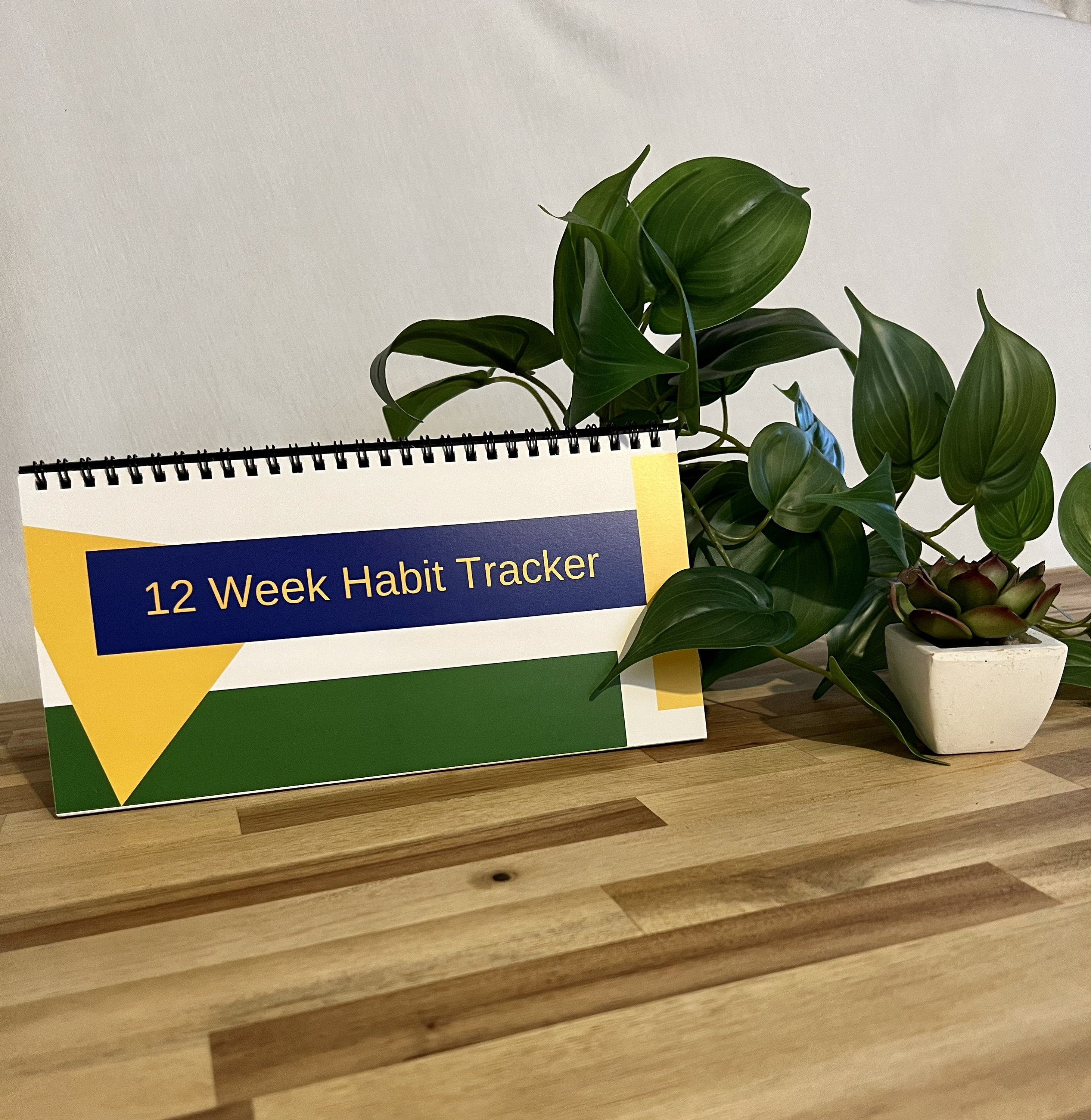 12 Week Desktop Habit Tracker, Goal Tracker, 12-week Sprint Tracker, 12 ...