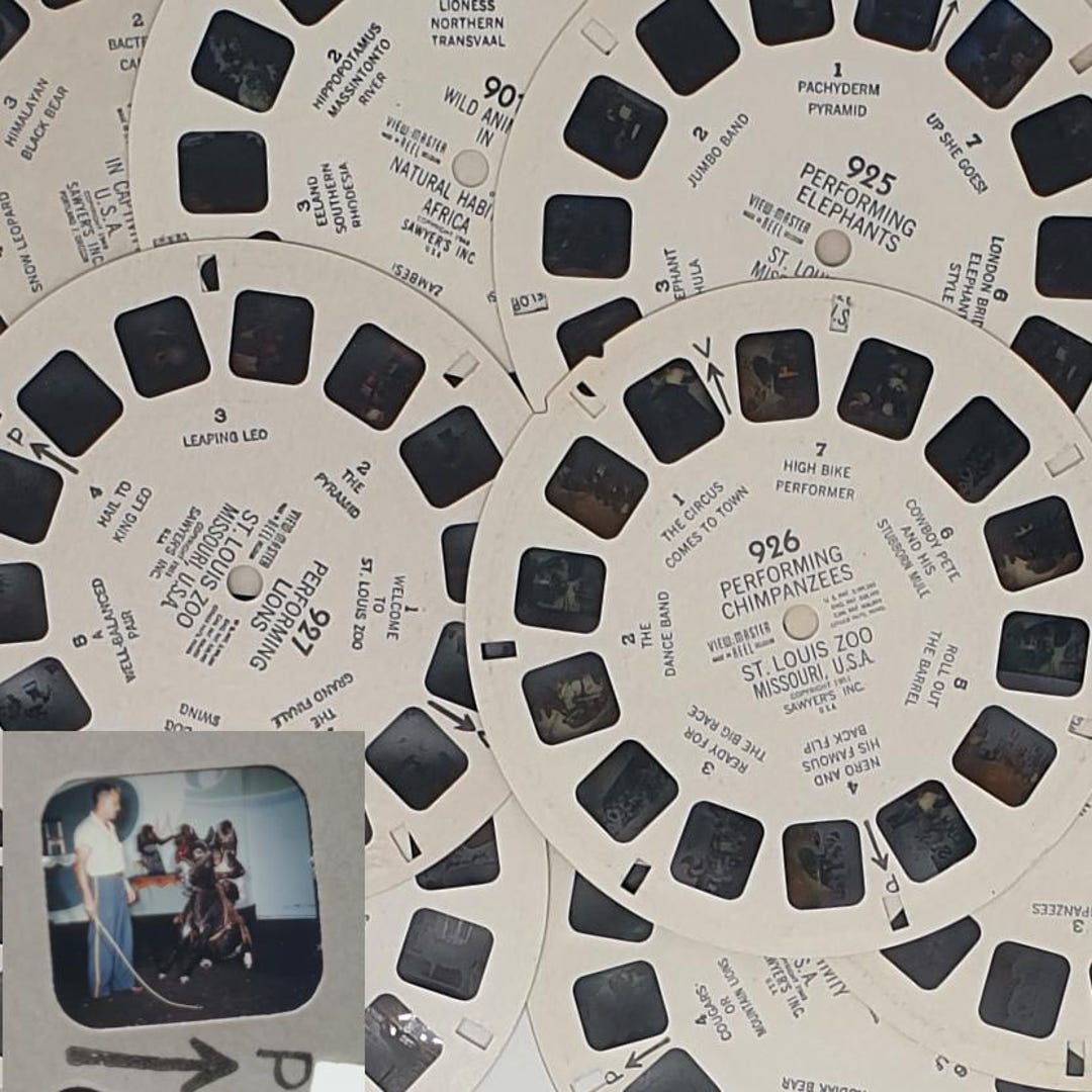 Animal Single Reels View-master - Etsy