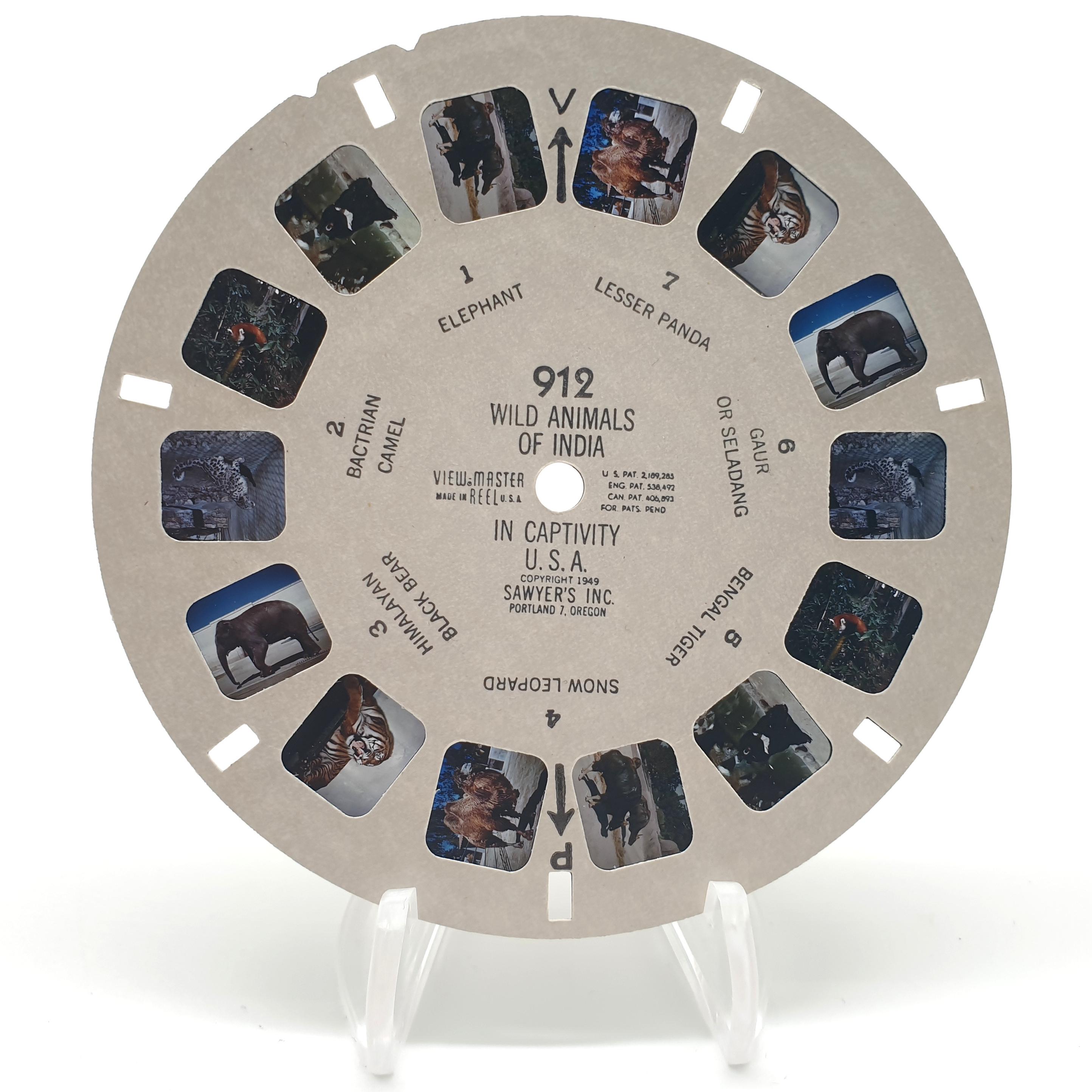 Animal Single Reels View-master - Etsy