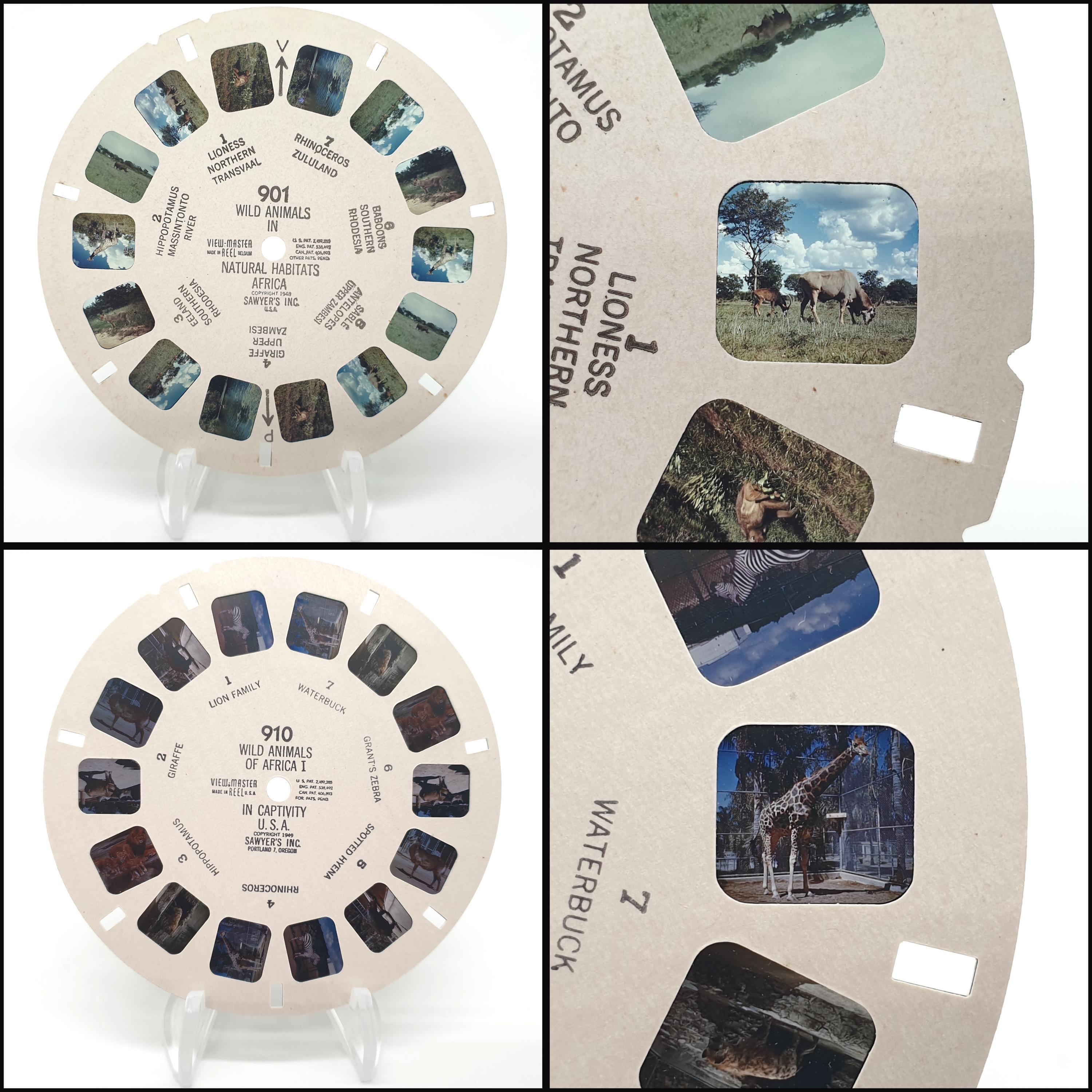 Animal Single Reels View-master - Etsy