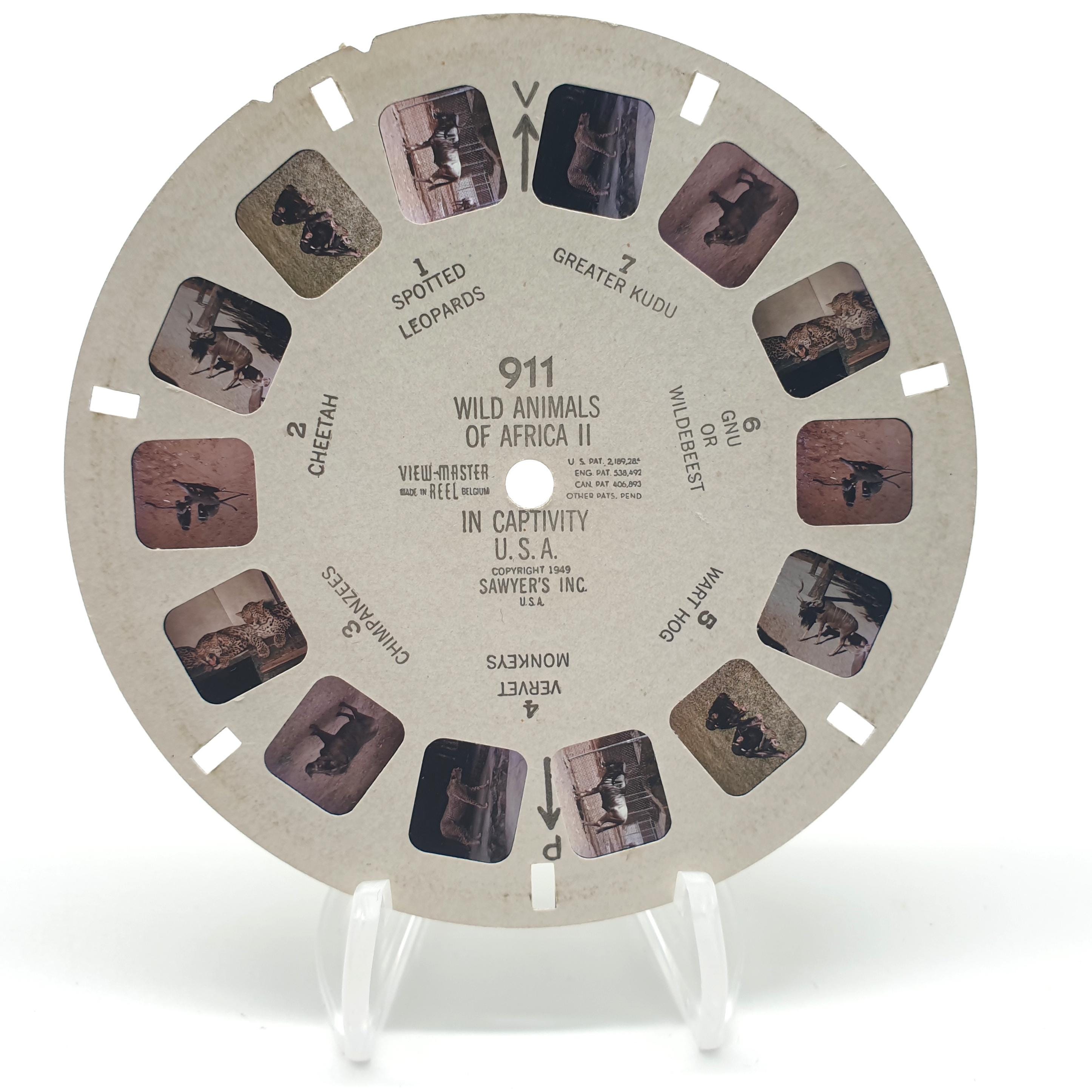 Animal Single Reels View-master - Etsy