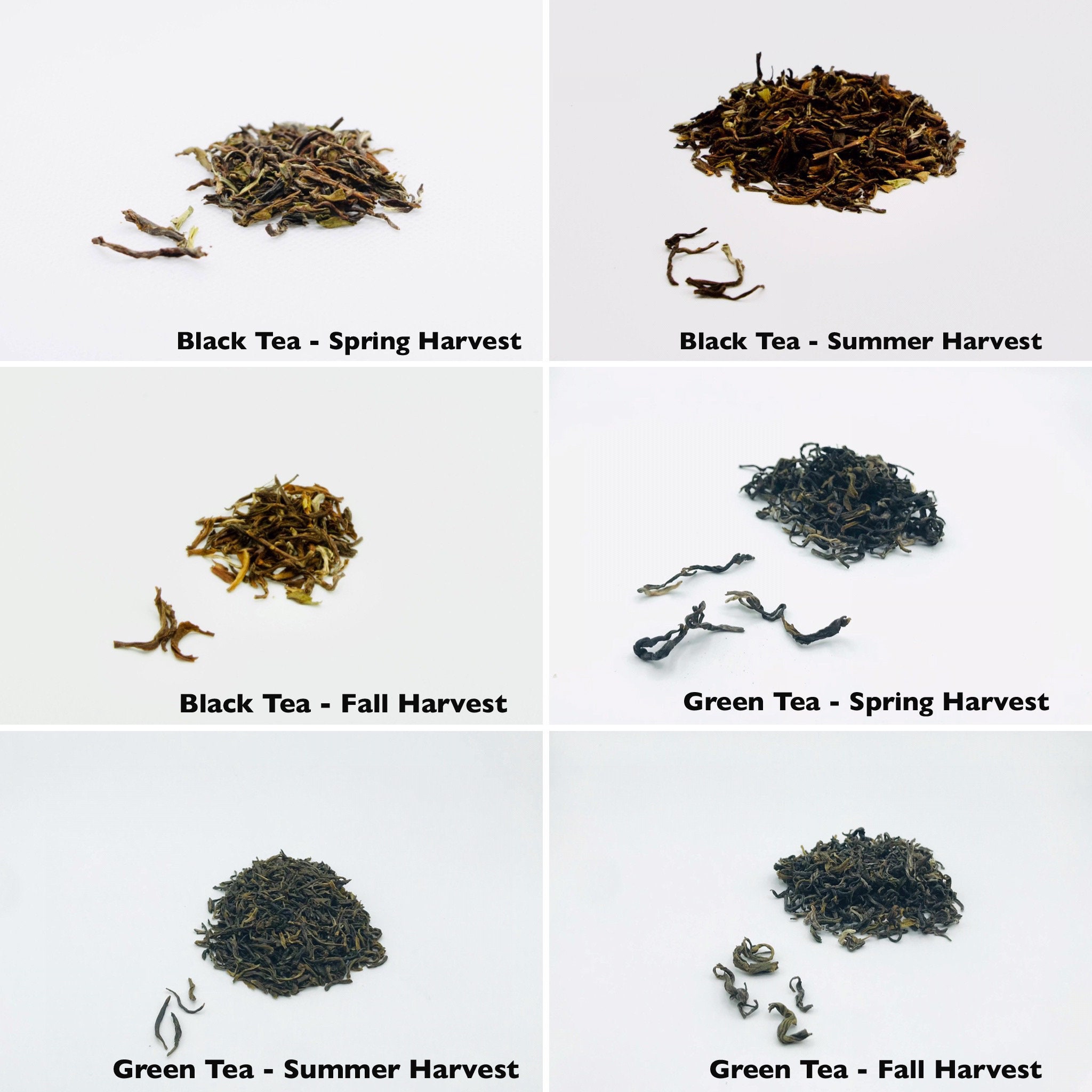Organic Loose Leaf Tea Sampler. Choose From a Variety of Green, Black ...
