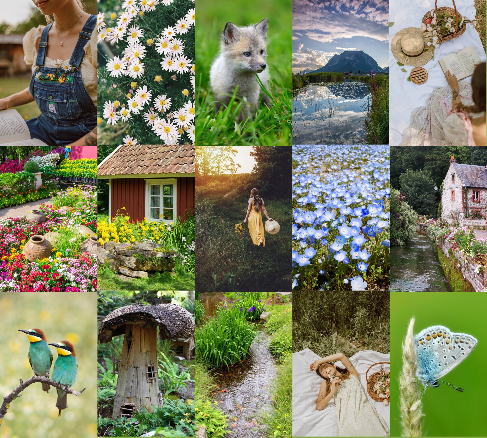 Cottagecore Wall Collage Kit | Indie Room Decor, VSCO Wall Collage Kit ...