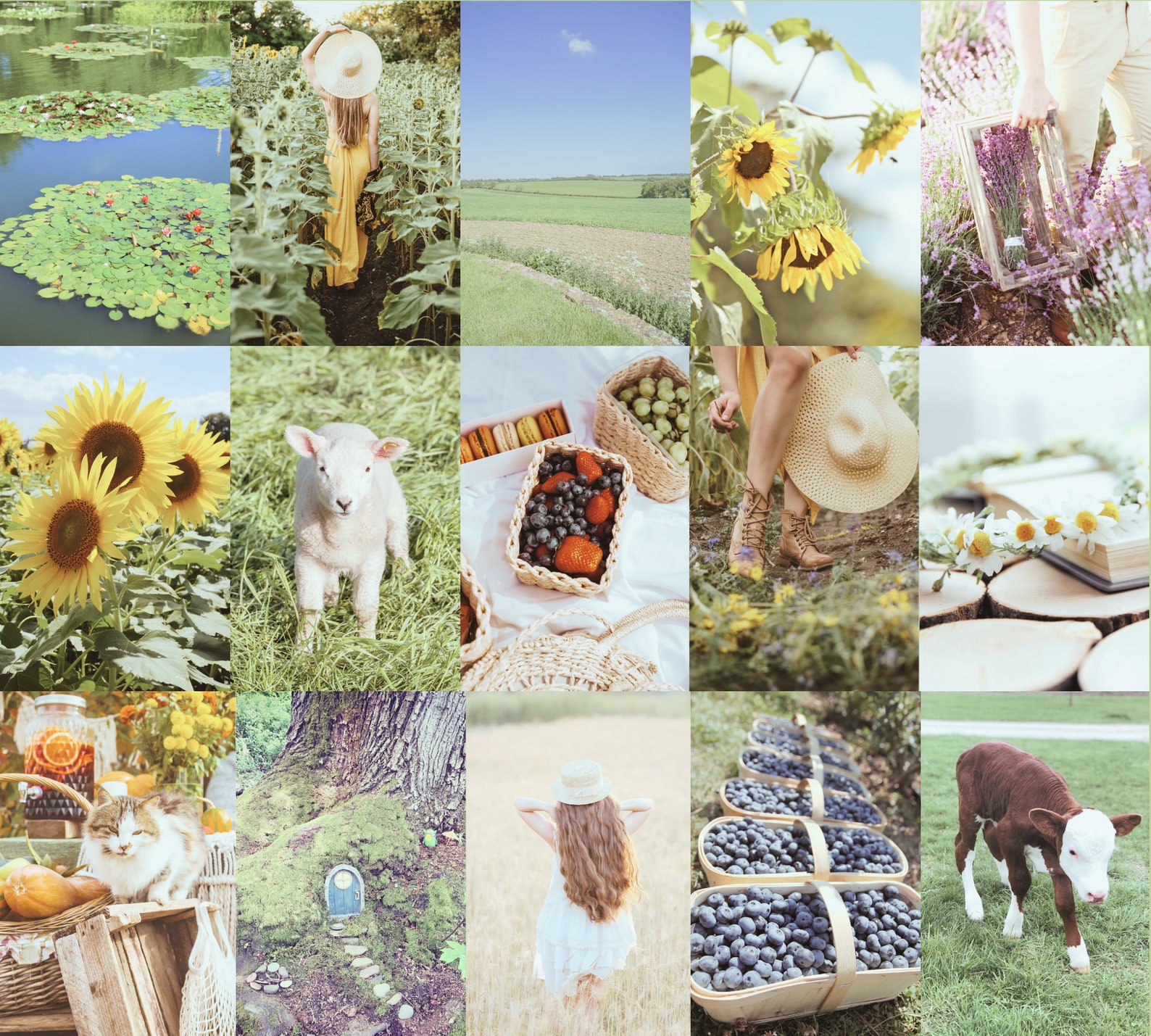 Soft Pastel Cottagecore Wall Collage Kit Indie Room Decor - Etsy