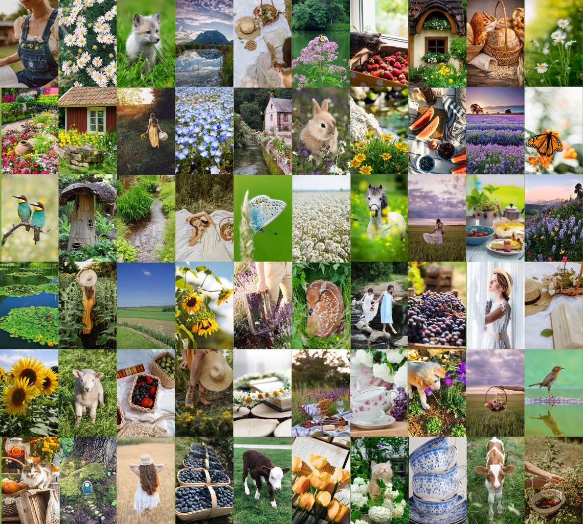 Cottagecore Wall Collage Kit Indie Room Decor, VSCO Wall Collage Kit ...