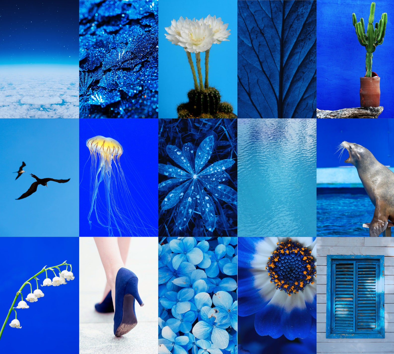 Blue Wall Collage Kit Indie Room Decor, VSCO Wall Collage Kit - Etsy