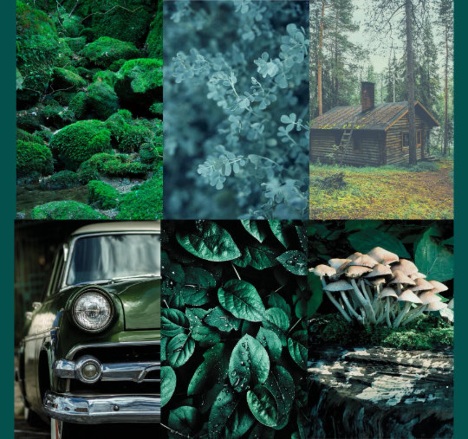 Emerald Green Aesthetic Wall Collage Kit 40 PCS Boho - Etsy Finland