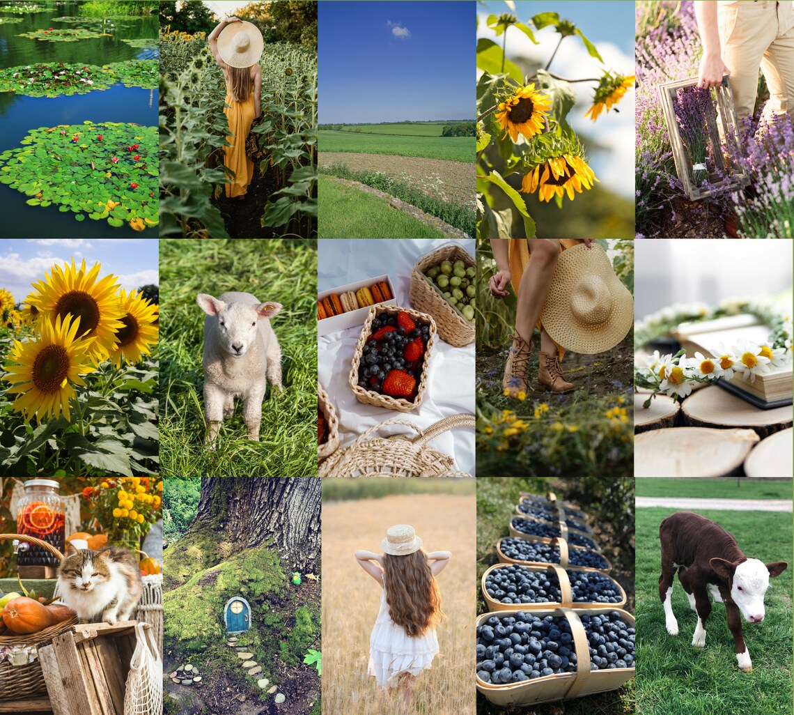 Cottagecore Wall Collage Kit Indie Room Decor, VSCO Wall Collage Kit ...