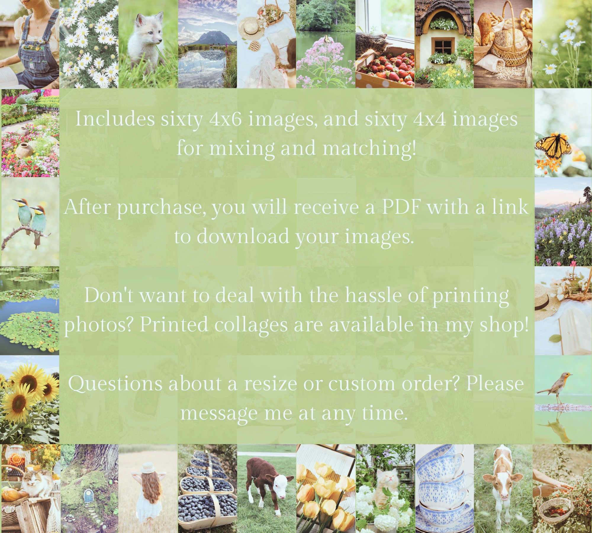 Soft Pastel Cottagecore Wall Collage Kit Indie Room Decor - Etsy