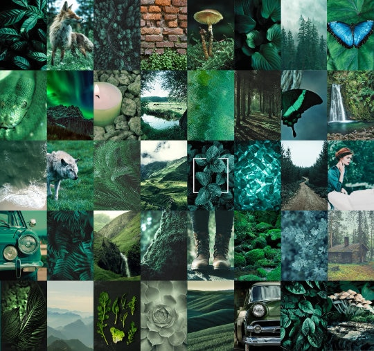 Dark Emerald Green Aesthetic Wall Collage Kit 40 PCS| Boho Botanical ...