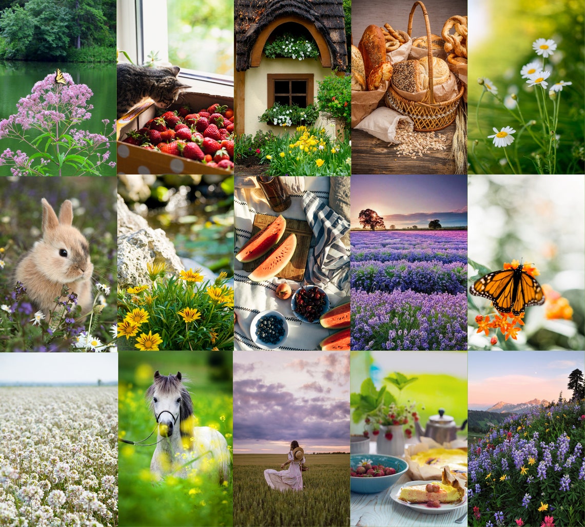 Cottagecore Wall Collage Kit Indie Room Decor, VSCO Wall Collage Kit ...