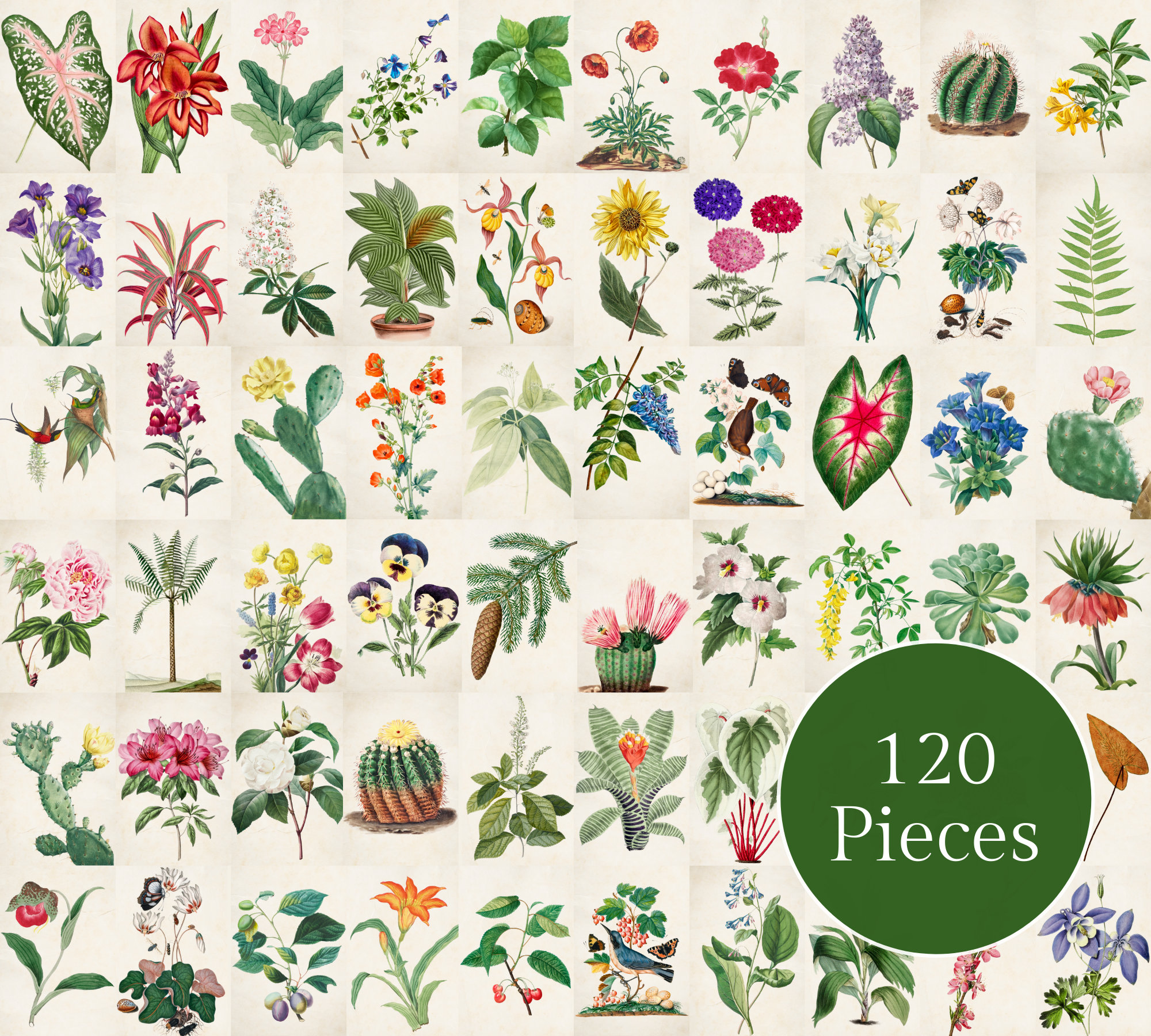 Vintage Botanical Wall Collage Kit Cottagecore Decor Indie Room Decor ...