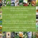 Cottagecore Wall Collage Kit | Indie Room Decor, VSCO Wall Collage Kit ...