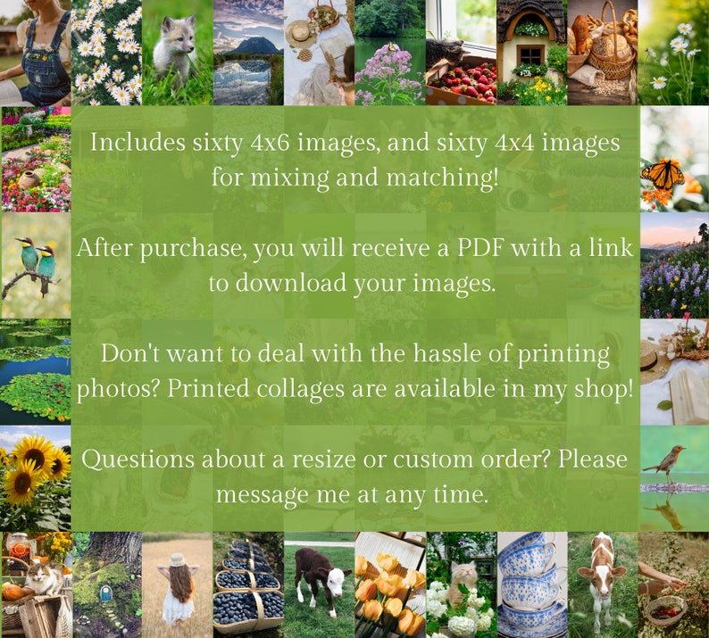 Cottagecore Wall Collage Kit Indie Room Decor, VSCO Wall Collage Kit ...