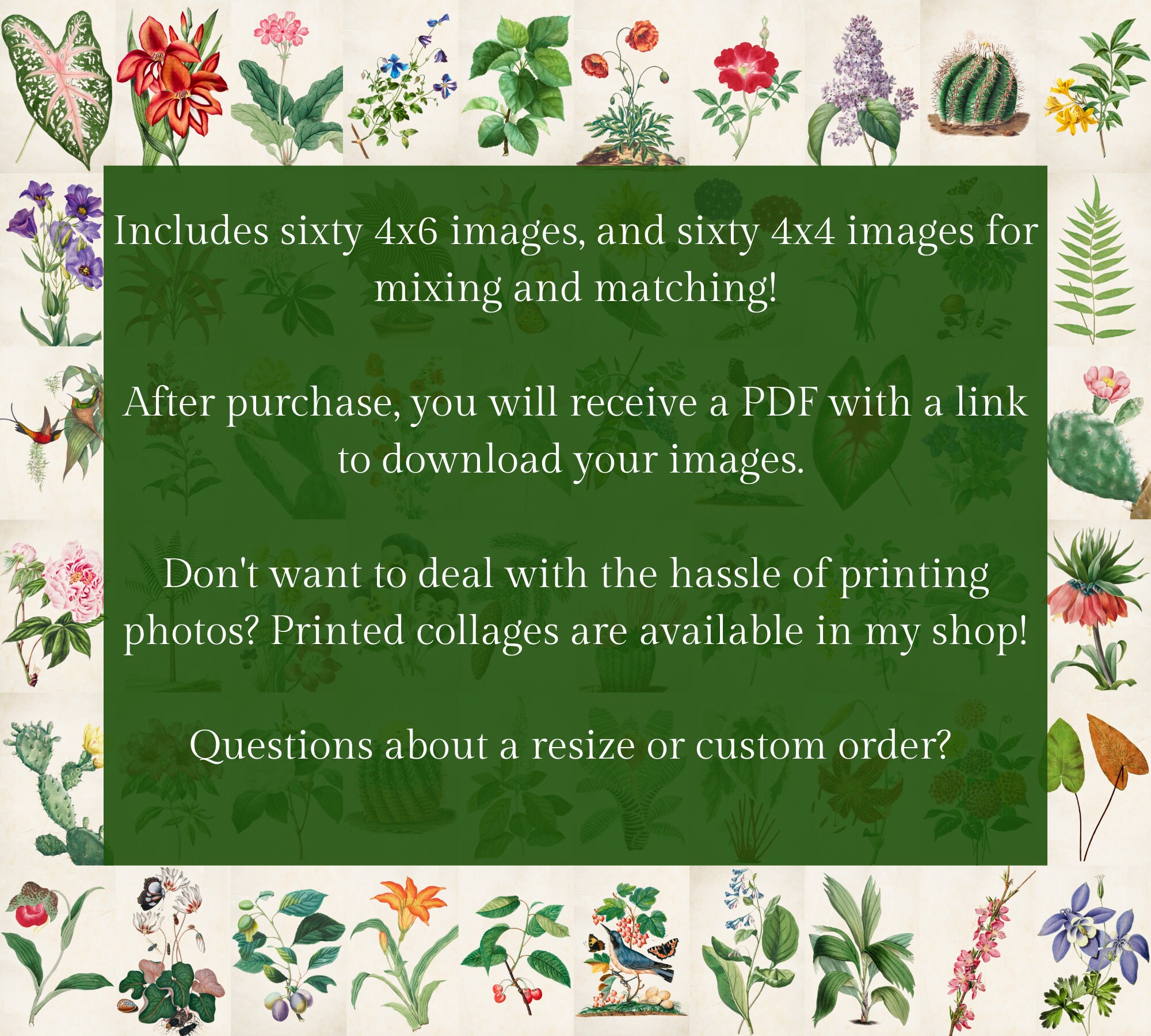 Vintage Botanical Wall Collage Kit Cottagecore Decor Indie Room Decor ...