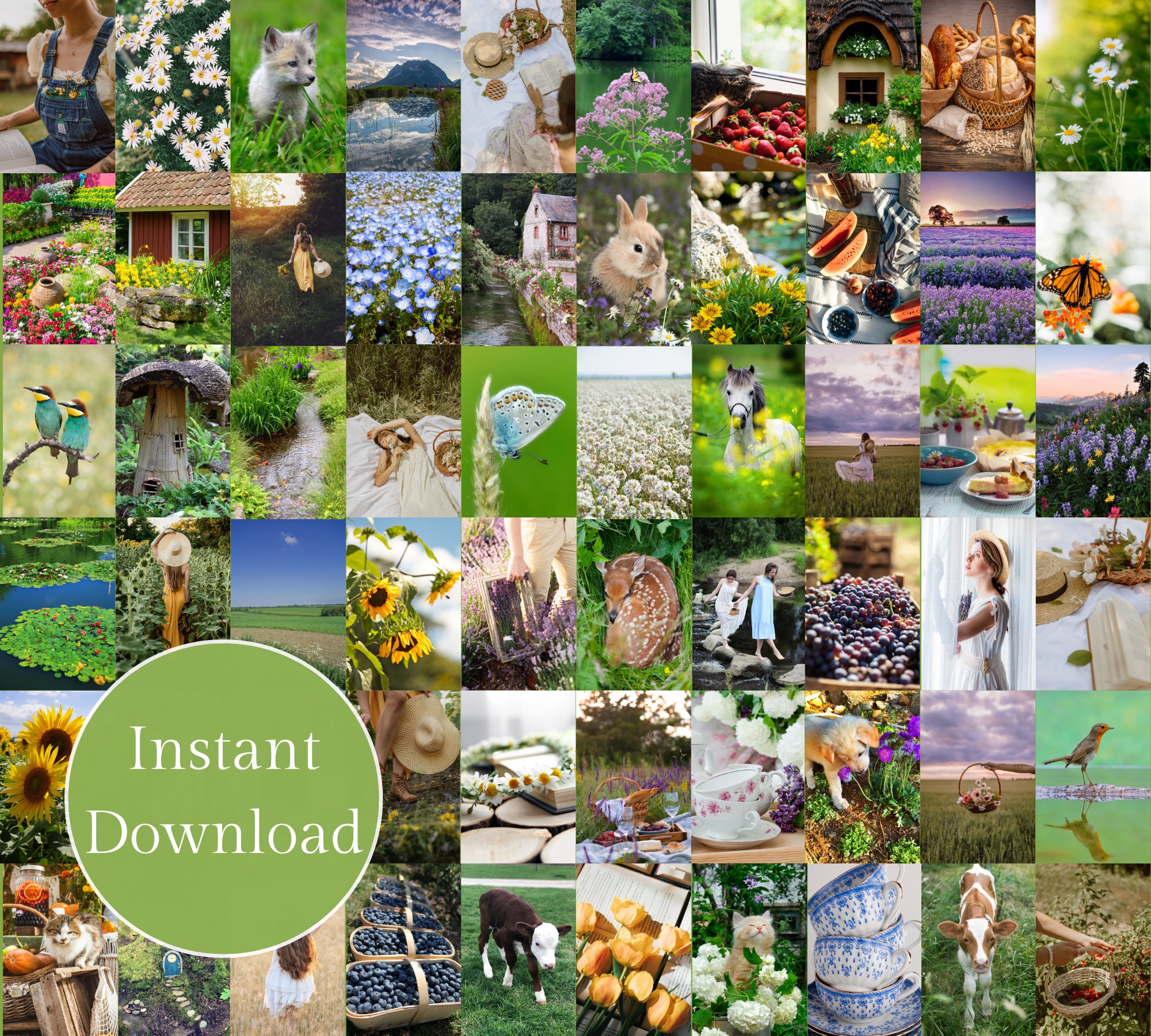 Cottagecore Wall Collage Kit Indie Room Decor, VSCO Wall Collage Kit ...