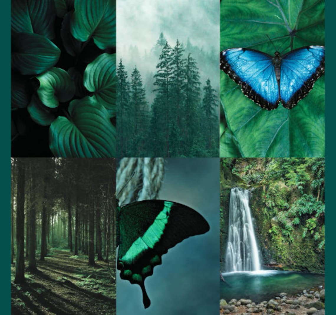 Dark Emerald Green Aesthetic Wall Collage Kit 40 PCS Boho - Etsy