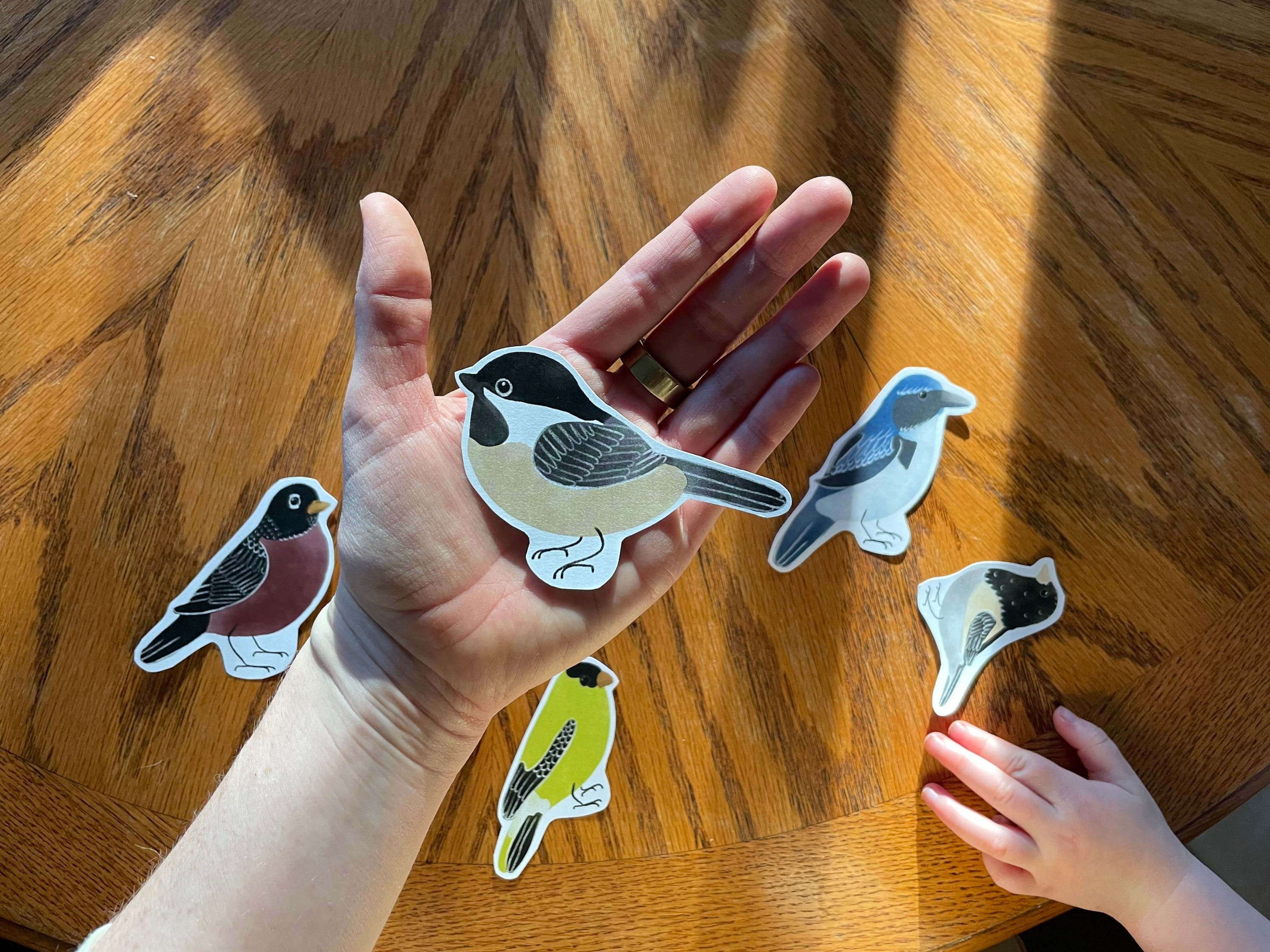 Spring Bird Mobile/banner/cards - Etsy