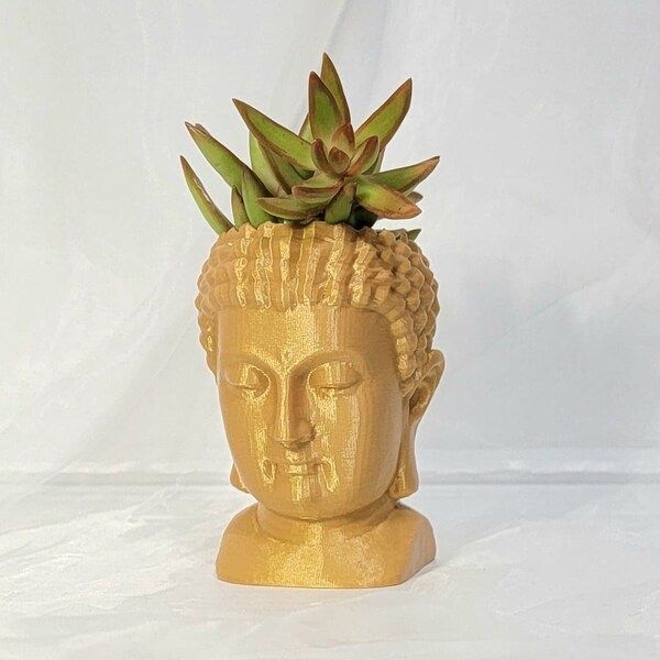 Buddha Head Pot - Etsy