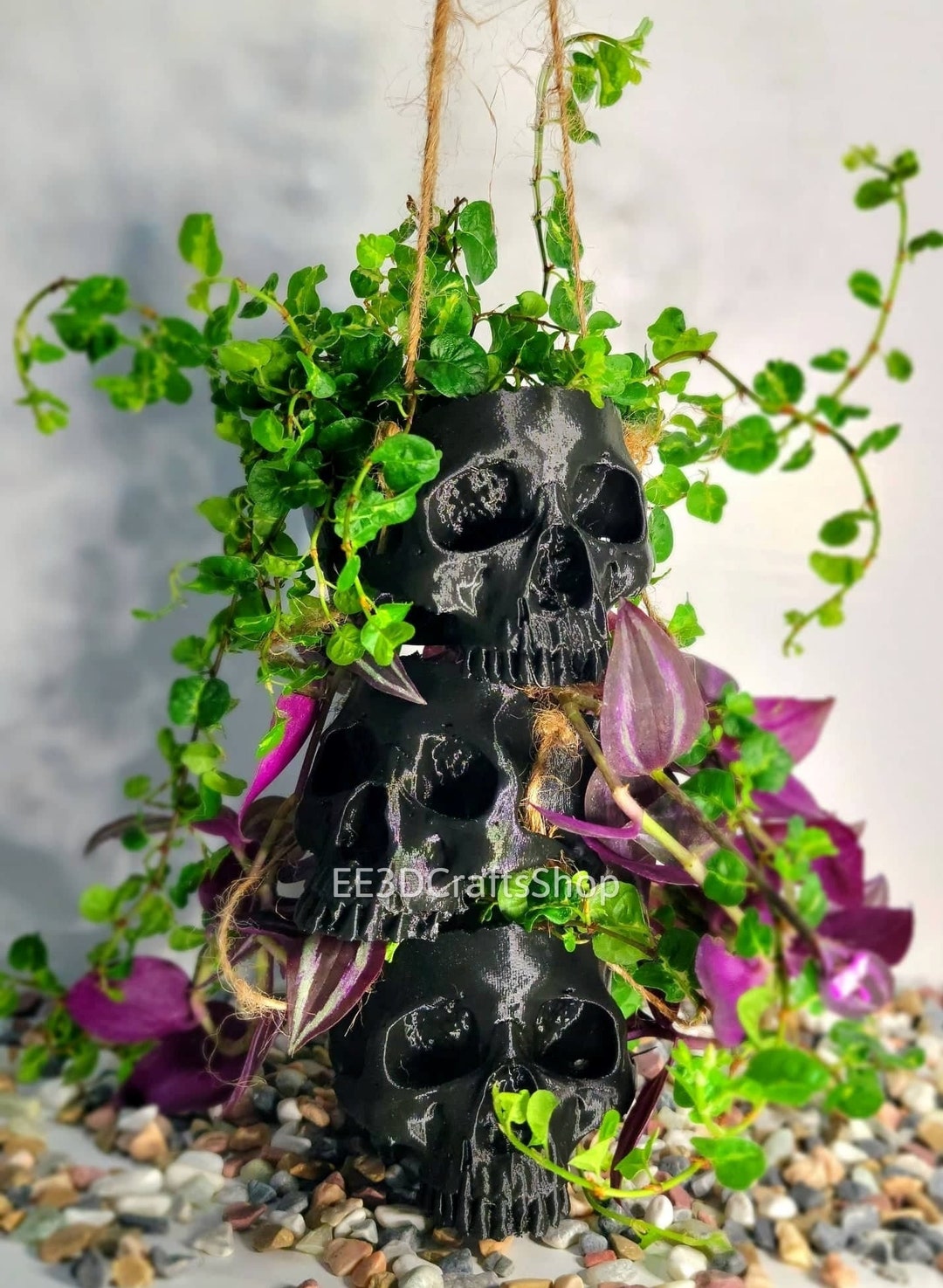 Hanging Skull Planter Human Skull Planter Succulent Air - Etsy