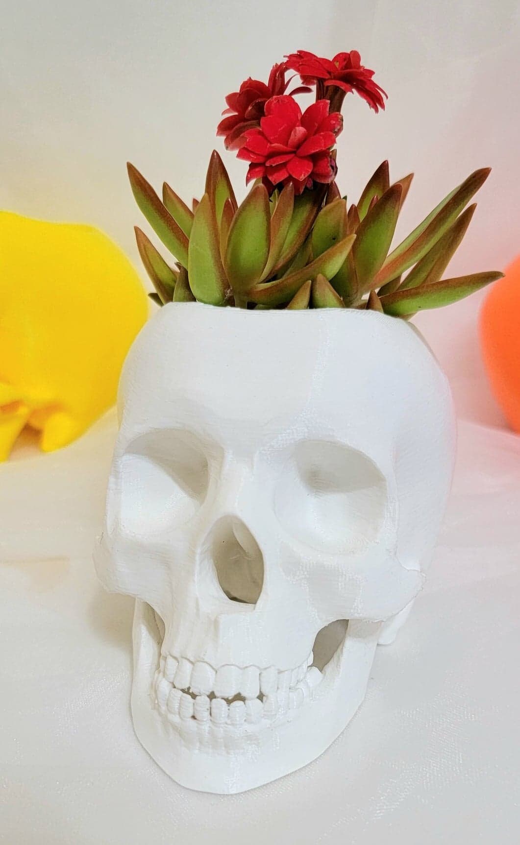Full Skull Planter Human Skull Planter With Jaw Succulent | Etsy