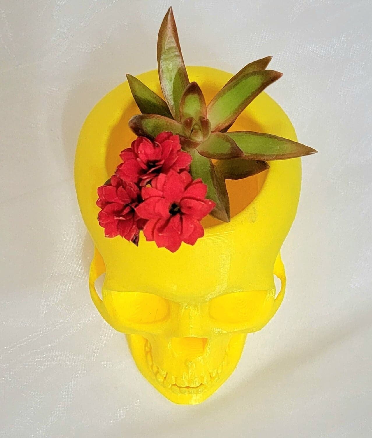 Full Skull Planter Human Skull Planter With Jaw Succulent | Etsy