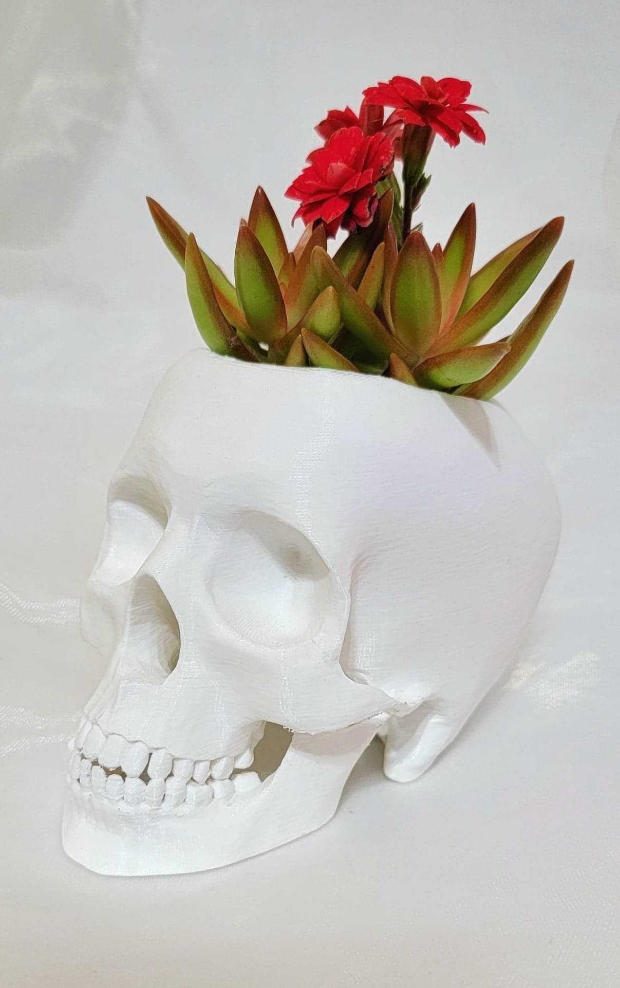 Full Skull Planter Human Skull Planter With Jaw Succulent | Etsy