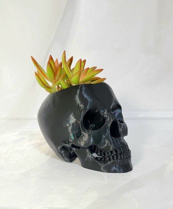 Full Skull Planter Human Skull Planter With Jaw Succulent | Etsy