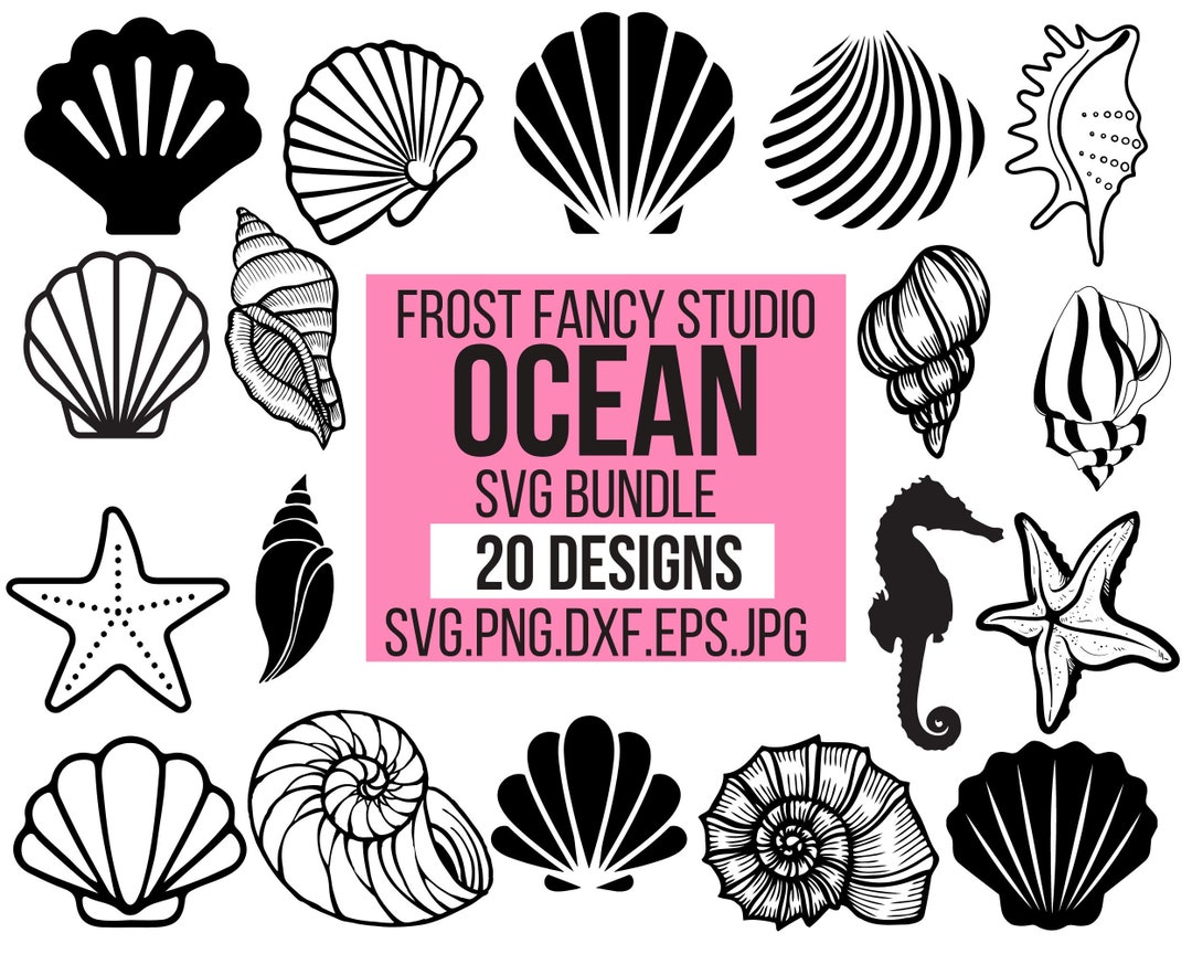 Ocean Seashell SVG Bundle, Scallop Beach Svg, Under the Sea Svg, Marine ...