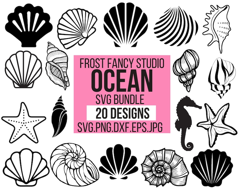 Ocean Seashell SVG Bundle Scallop Beach Svg Under the Sea - Etsy