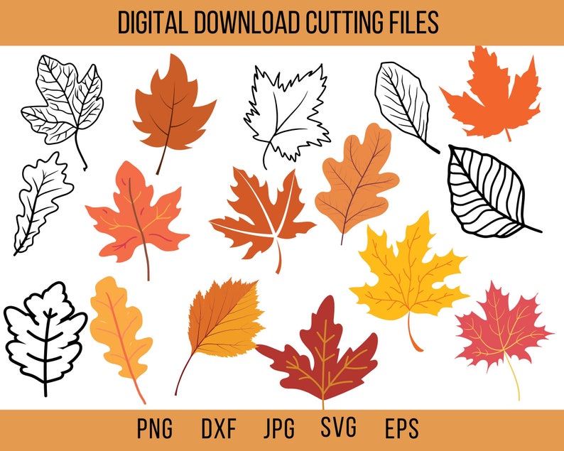 Fall Leaves SVG Bundle: Autumn Clipart (digital Download) - Etsy