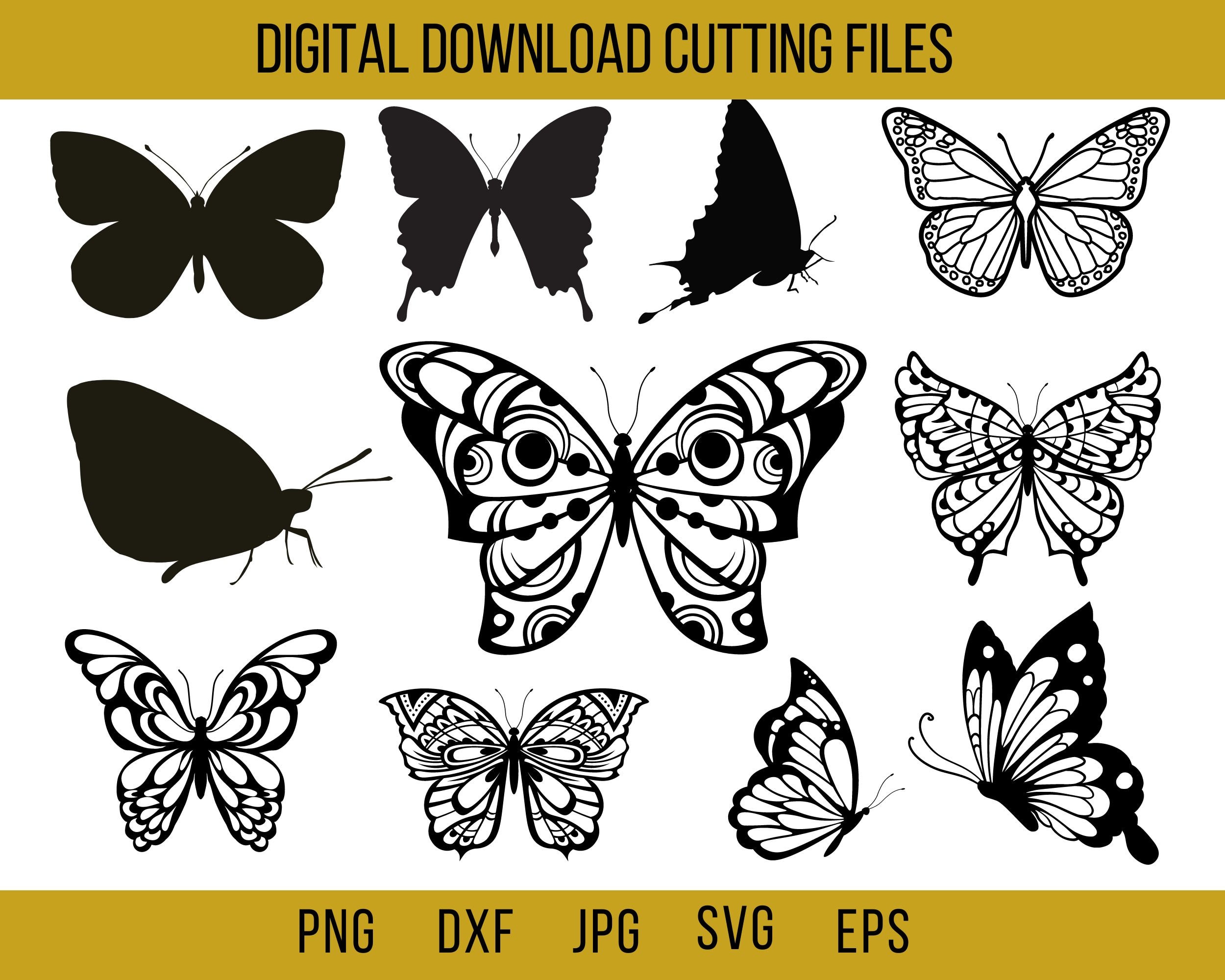 Butterfly Svg Butterfly Png Butterfly Clipart Butterflies - Etsy
