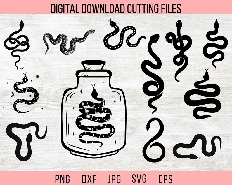 Snake SVG Bundle: Reptile Clipart, Celestial Silhouette (digital ...