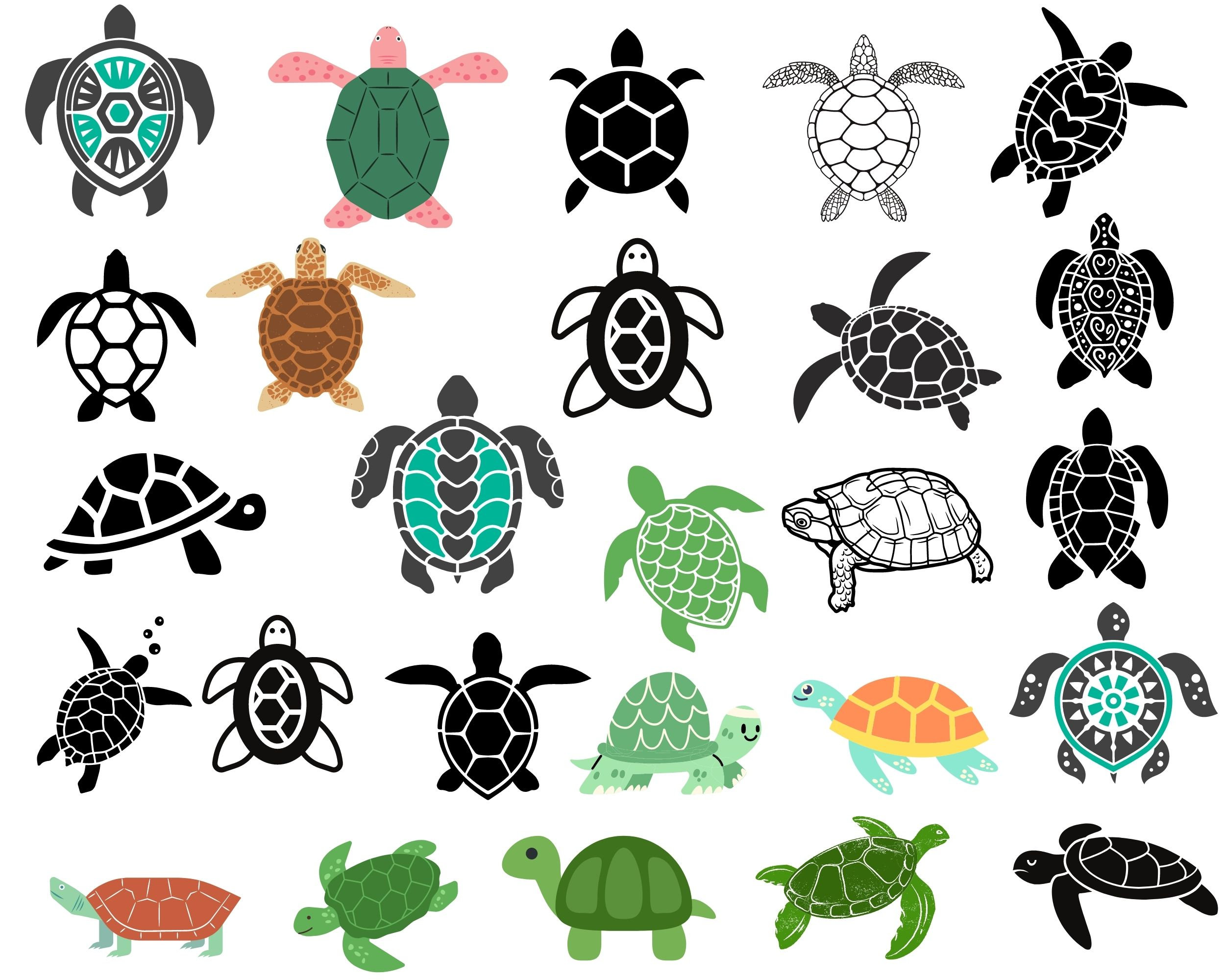 Turtle Svg Sea Animals Svg Animal Svg Sea Turtle Png - Etsy